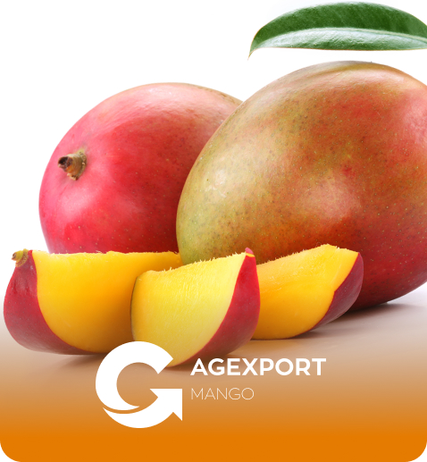 Mango - Mango Ataulfo